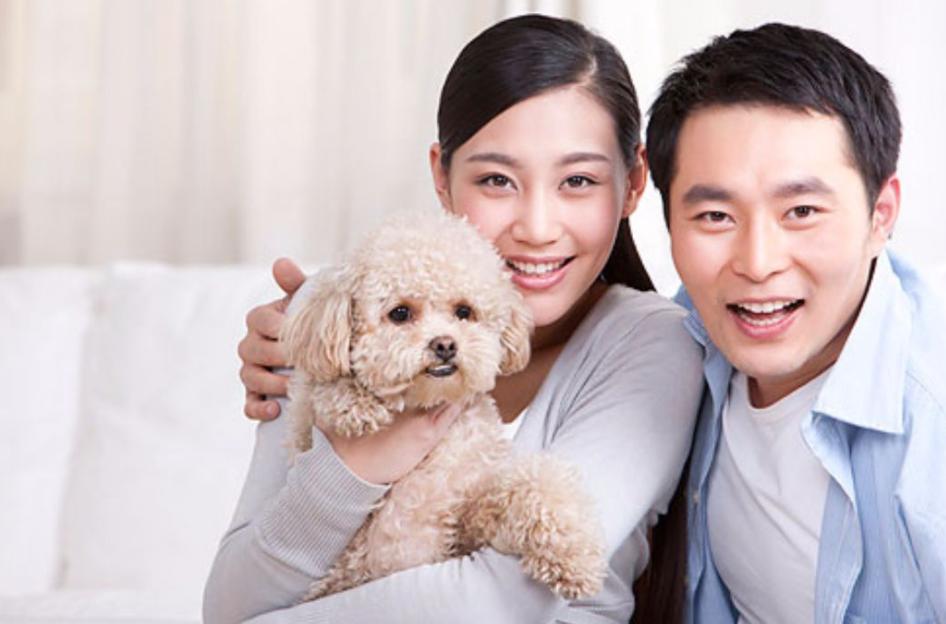 The first "DINK families" have entered their old age, do they regret it ...