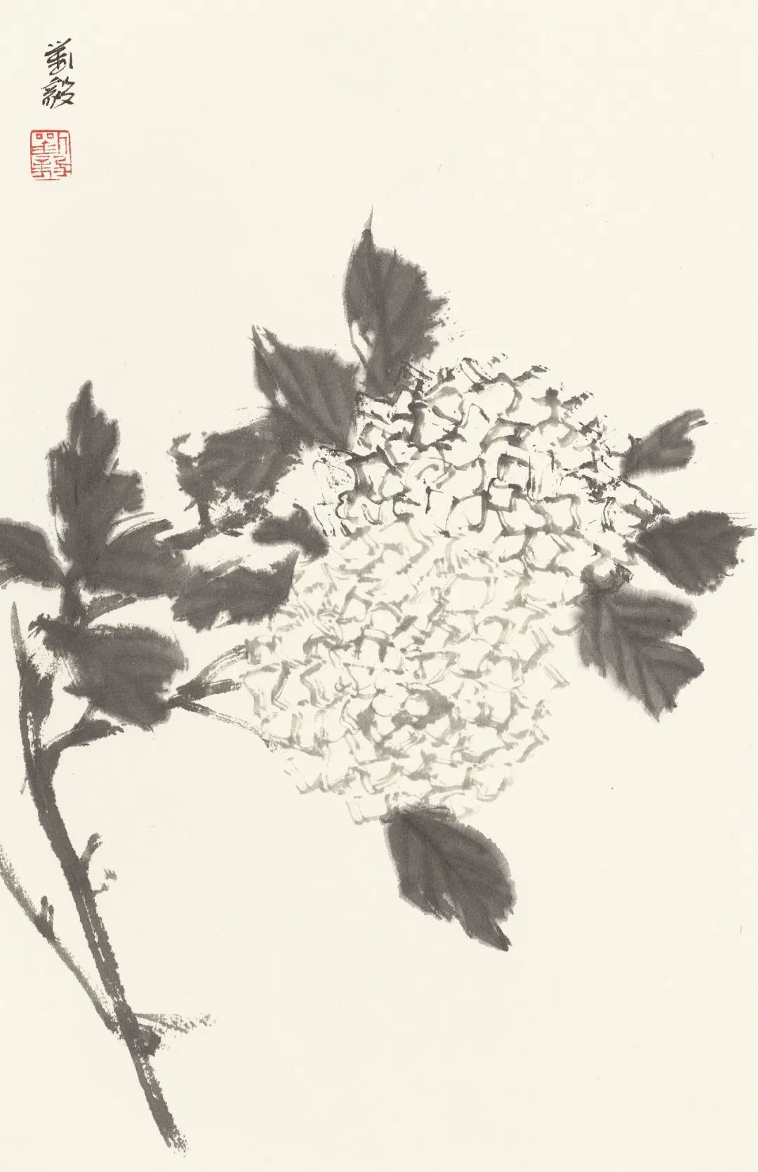 The Meaning of Watching║ Liu Yi - iNEWS