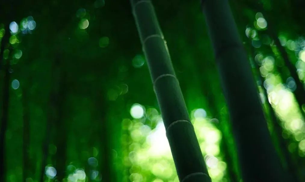 Ten famous sentences in ancient Chinese, every sentence is touching - iNEWS