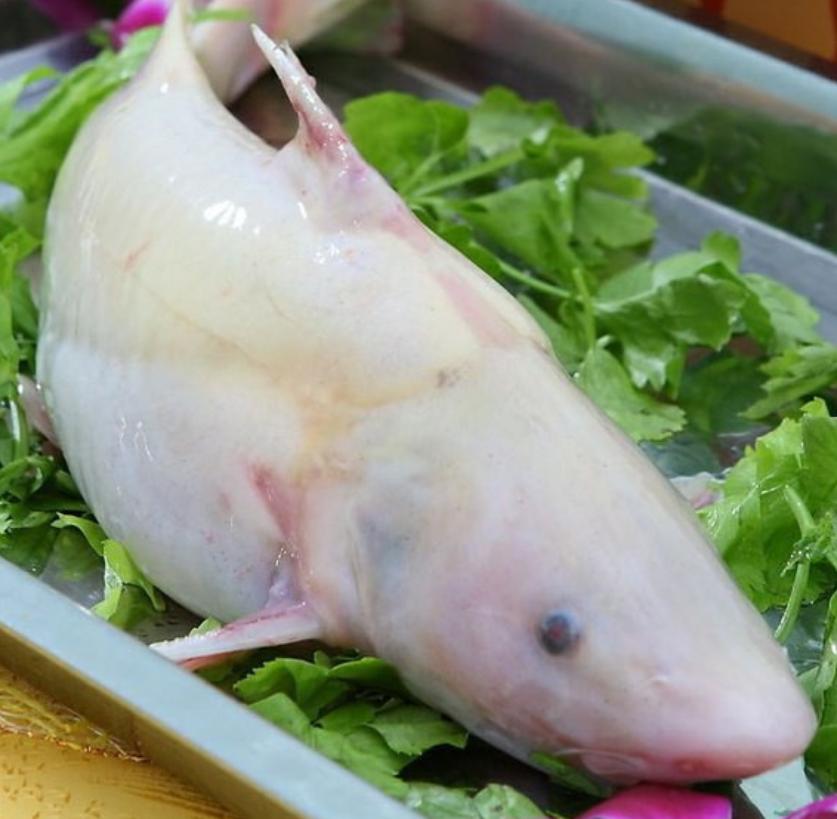 Food Memories in Yichang Old Town (Part 7) - iNEWS