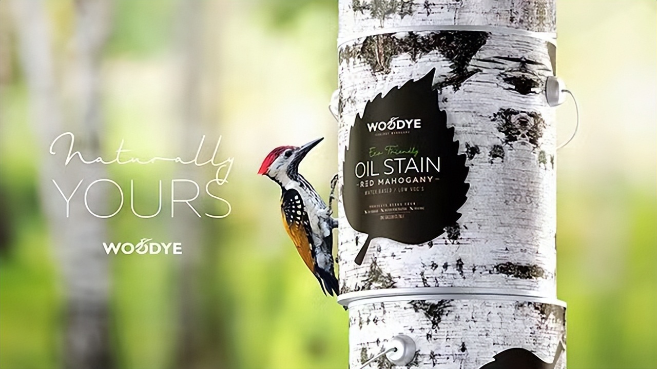 TM Woodye Wood Coating Creative Packaging Design - iNEWS