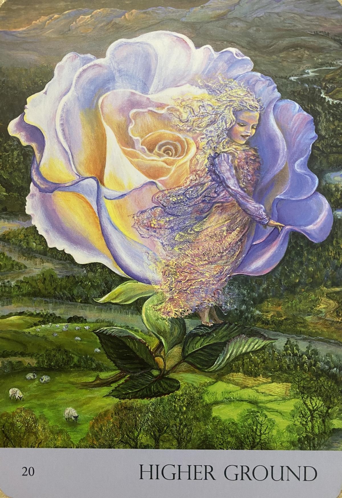 Daily Luck: 5.16 Spiritual Fortune Guide - iNEWS