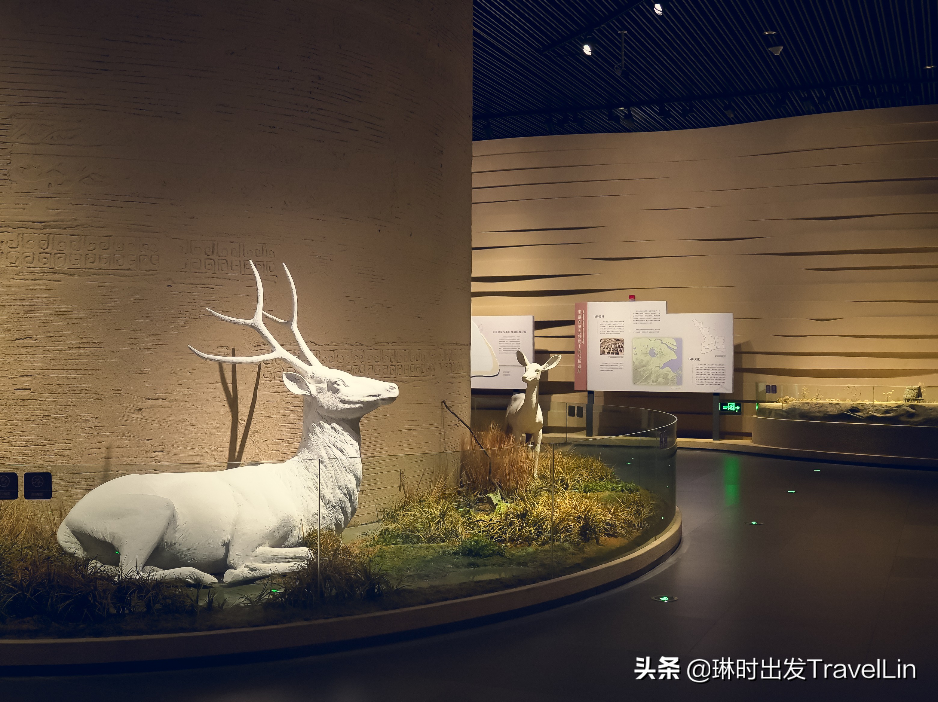 Treasures that have been sleeping for thousands of years: Maqiao ...