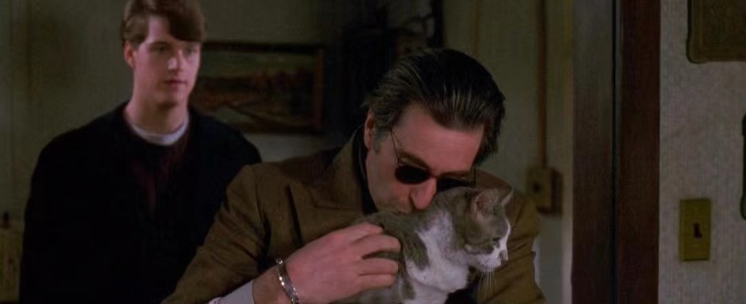 What is the effect of the cold opening in the European and American ...