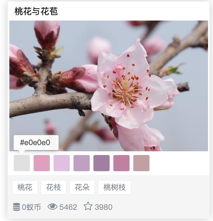 "Morandi color matching" makes your vision more comfortable - iNEWS