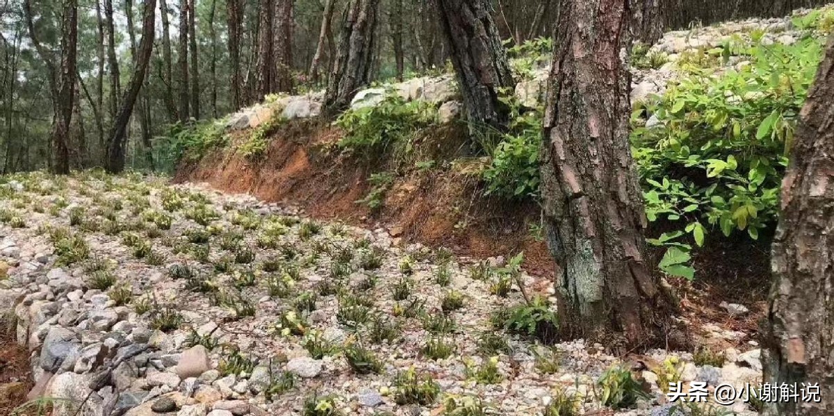 Explore the mysterious place - the wonderful world of Huoshan ...