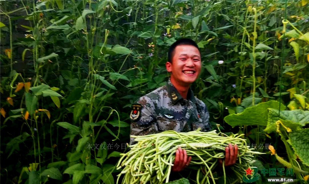 Can you grow vegetables in outer space? The People's Liberation Army's ...