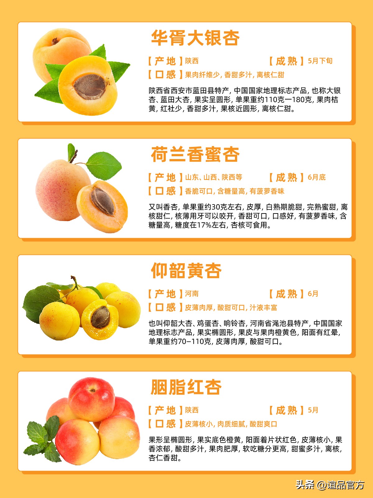 The name and taste of common apricots - iMedia