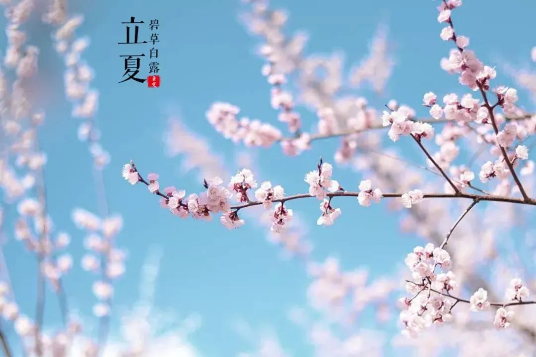 "Li Xia Expresses Feelings" happy reading - iNEWS