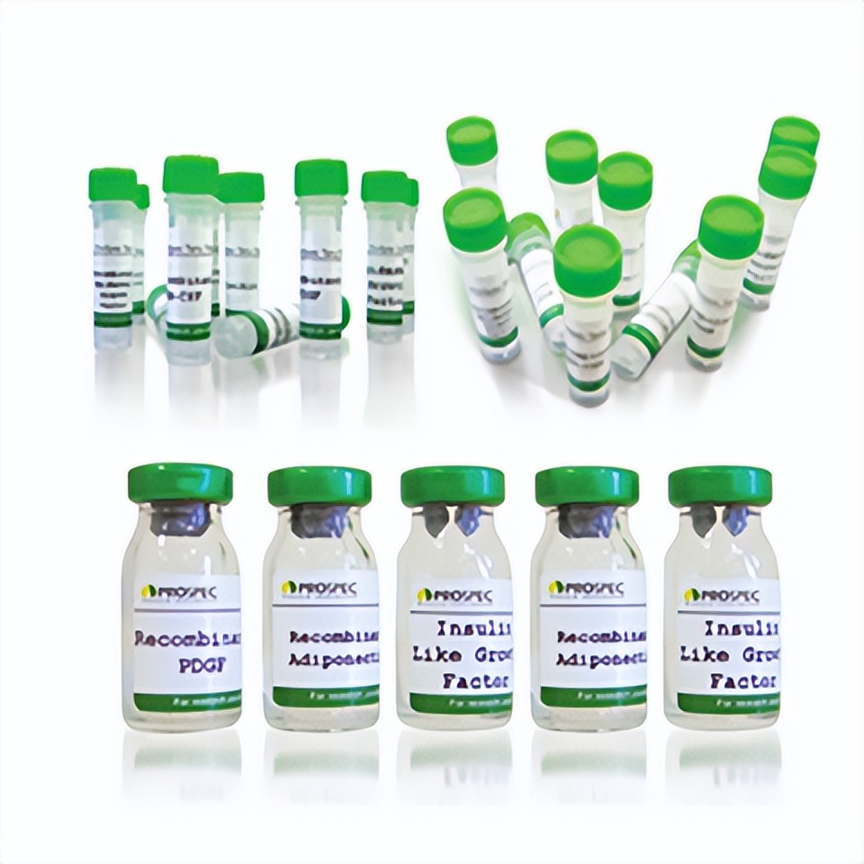ProSpec Zika NS1 protein recombinant, sf9 experimental parameter manual ...