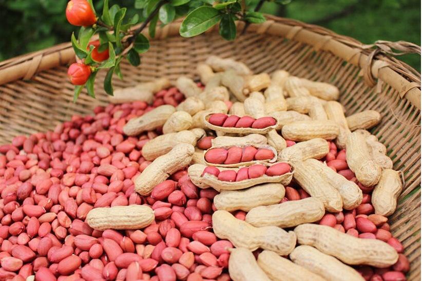 Studies have shown that eating peanuts often may speed up the ...