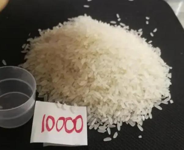 "The teacher asked me to bring 10,000 grains of rice", the parents ...