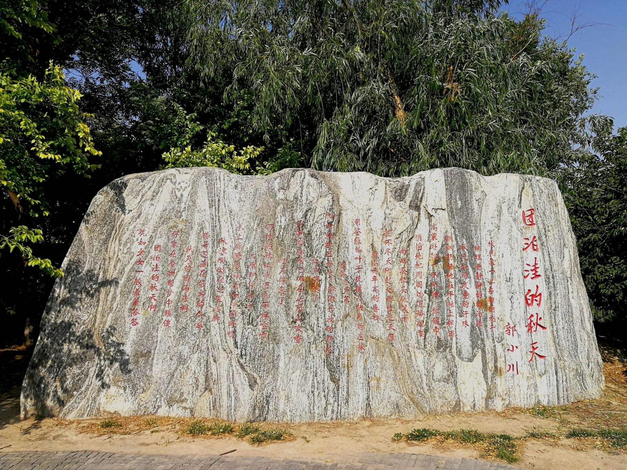 "Autumn in Tuanbowa" embodies Guo Xiaochuan's fighting spirit ...