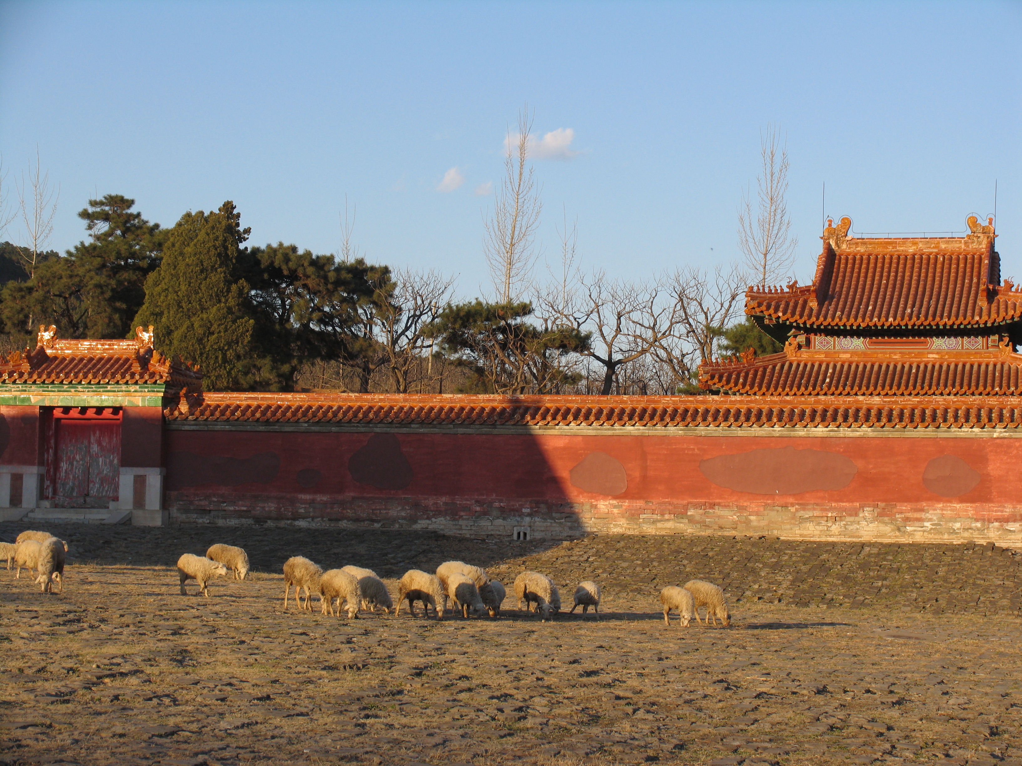 Visit the Mausoleum of Emperor Shunzhi - iNEWS