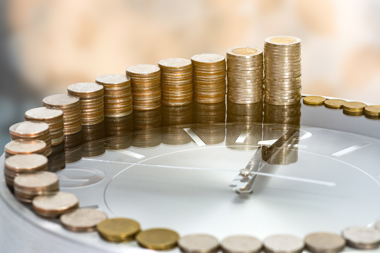 From the theory, analyze the role of corporate financial asset ...