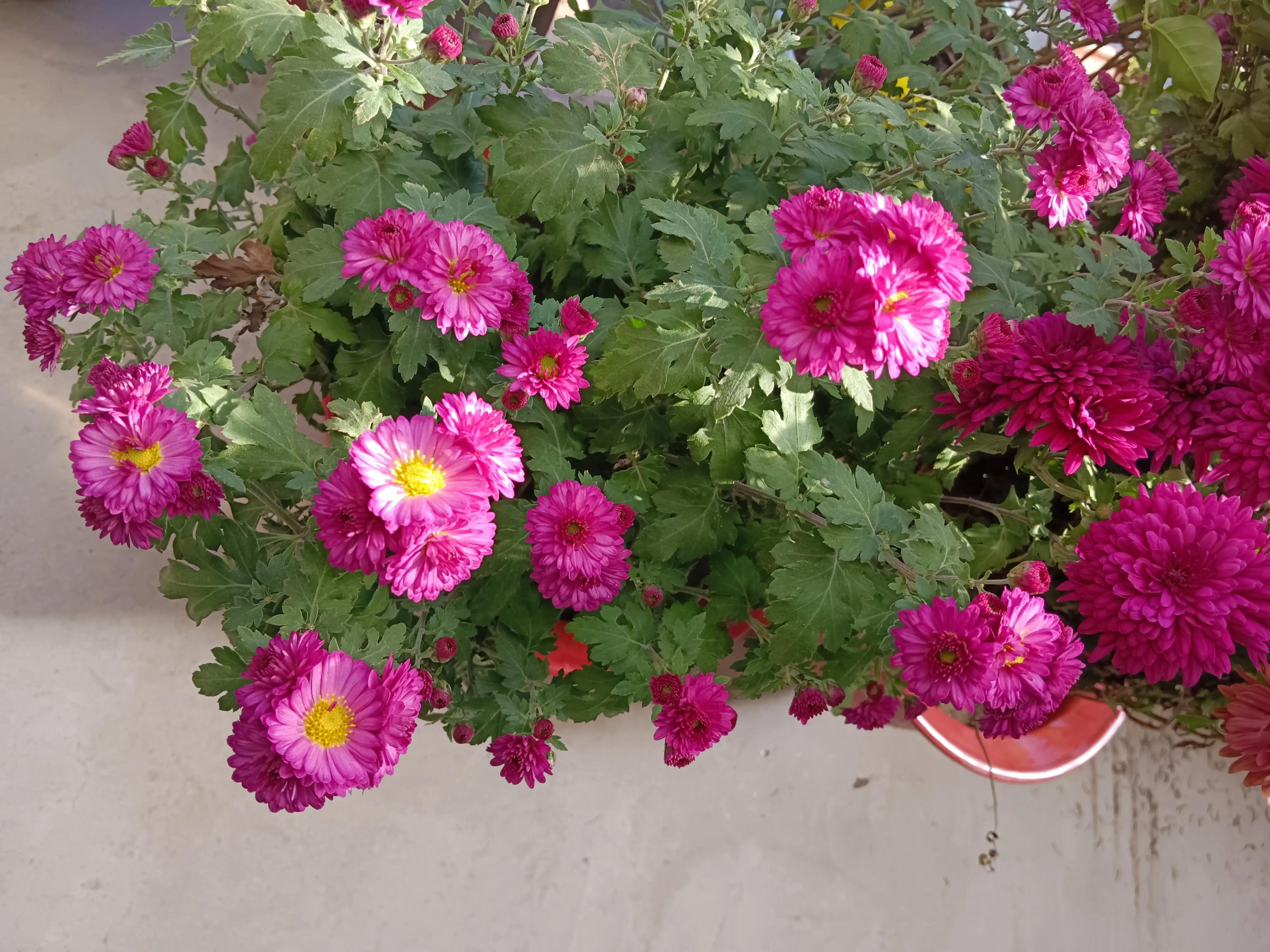 Baiyun Spring on Tianping Mountain - iNEWS