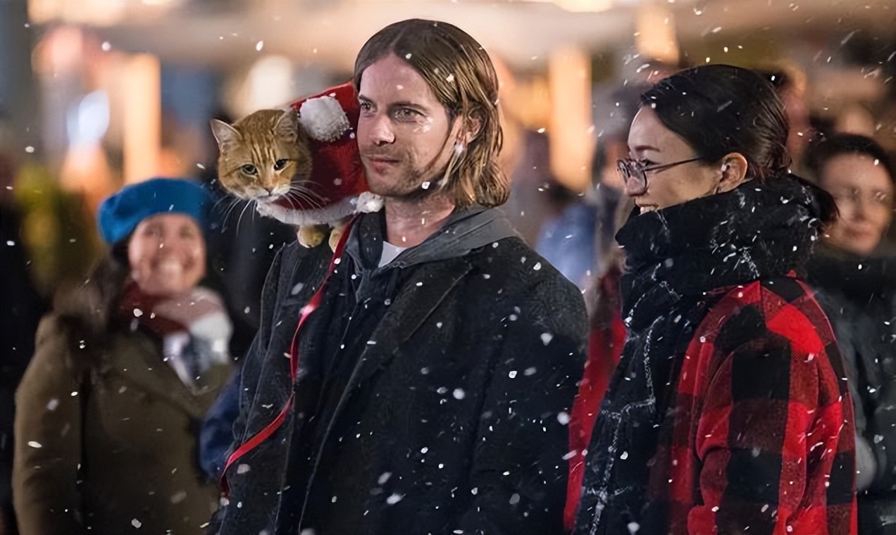 How to understand the mirror language in "The Stray Cat Bob"? - iMedia