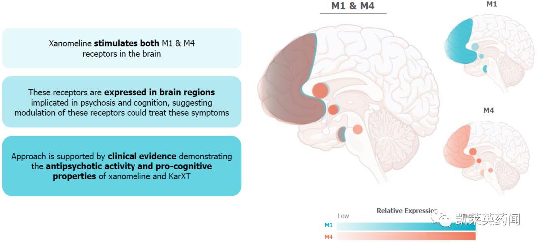 KarXT Receives Positive Top-Line Data in Phase III EMERGENT-2 Trial for ...