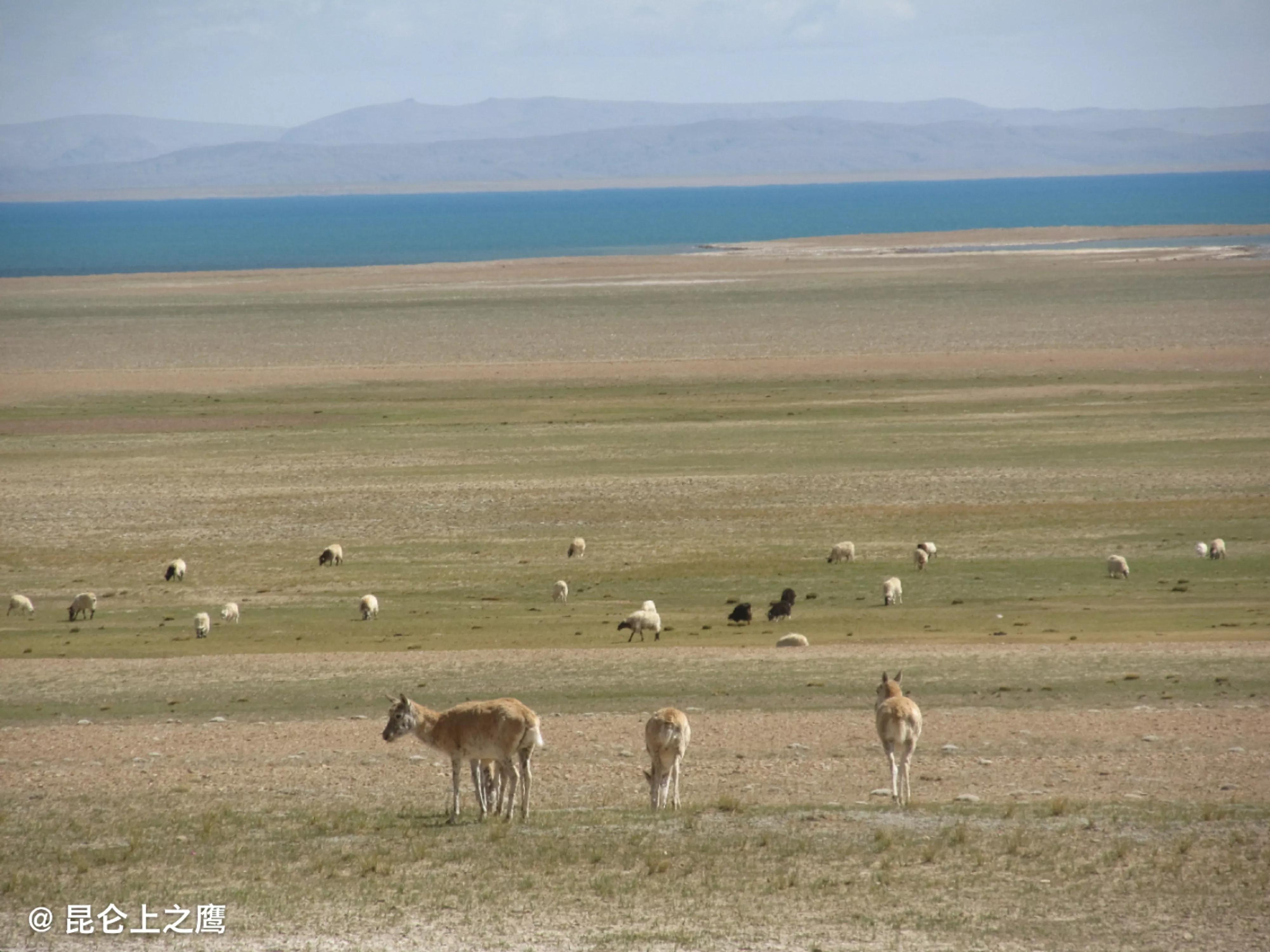 Selincuo, the largest lake in Tibet - iNEWS