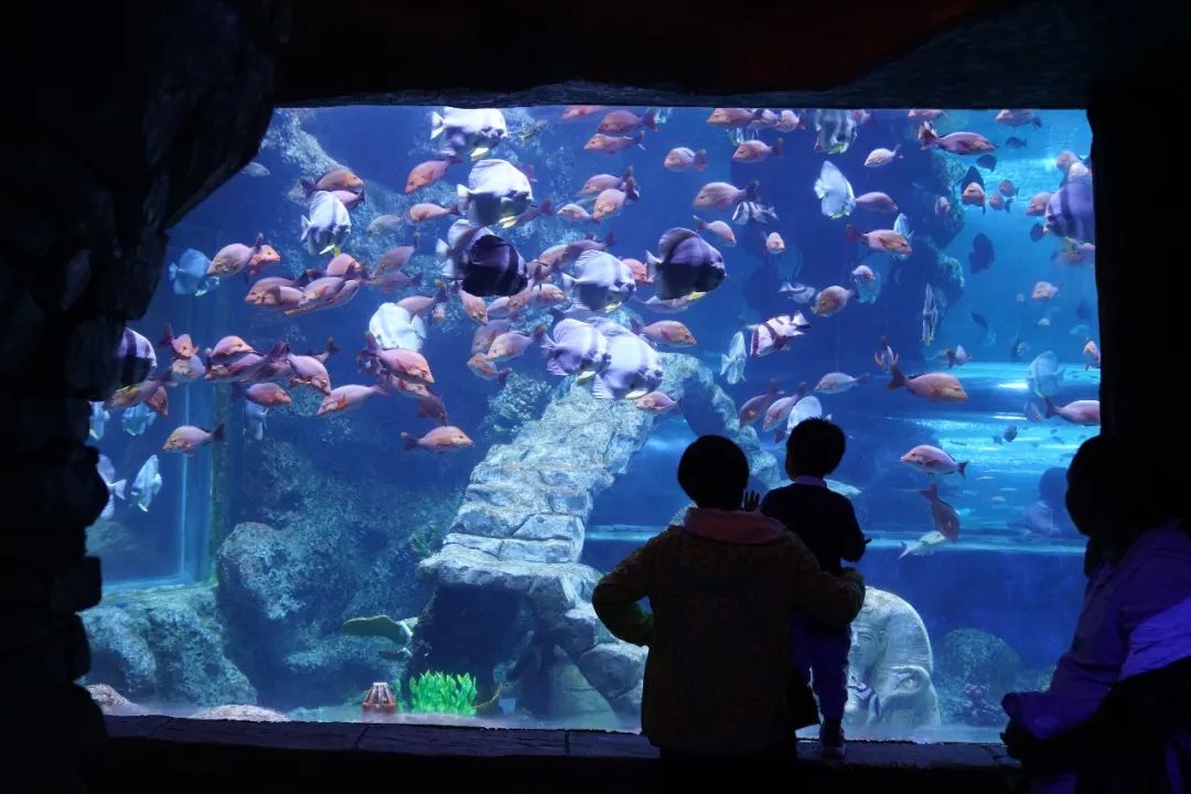 In the hot summer, come to Qujiang to cool down and have a "summer" - iNEWS