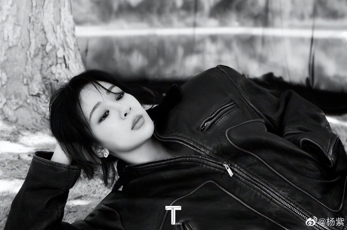 12.14 Picture: Yang Zi, Cai Xu Kun, Wang Hedi, Xiao Zhan, Li Yuchun ...