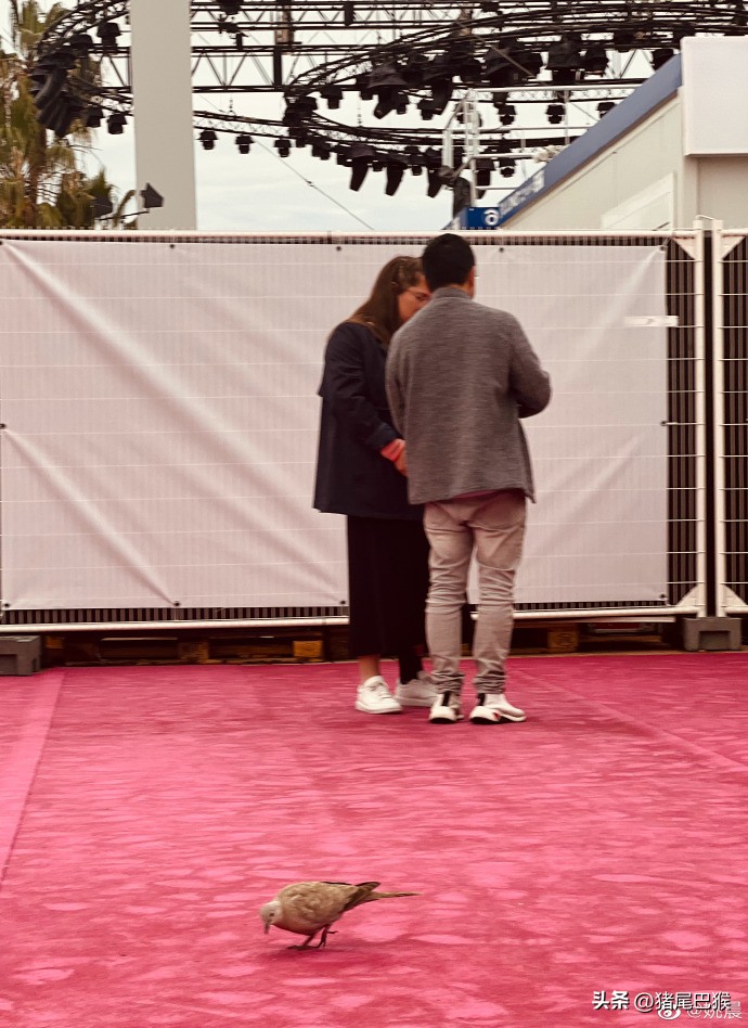 Yao Chen Film Festival with the filming, go out and enjoy exotic customs - iNEWS