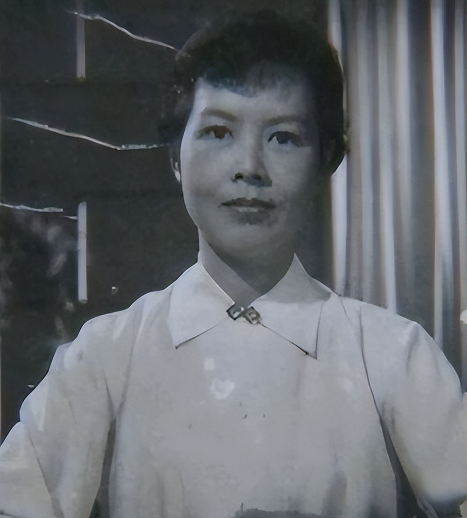Shen Li, the first hostess of CCTV, remarried her first love at the age ...