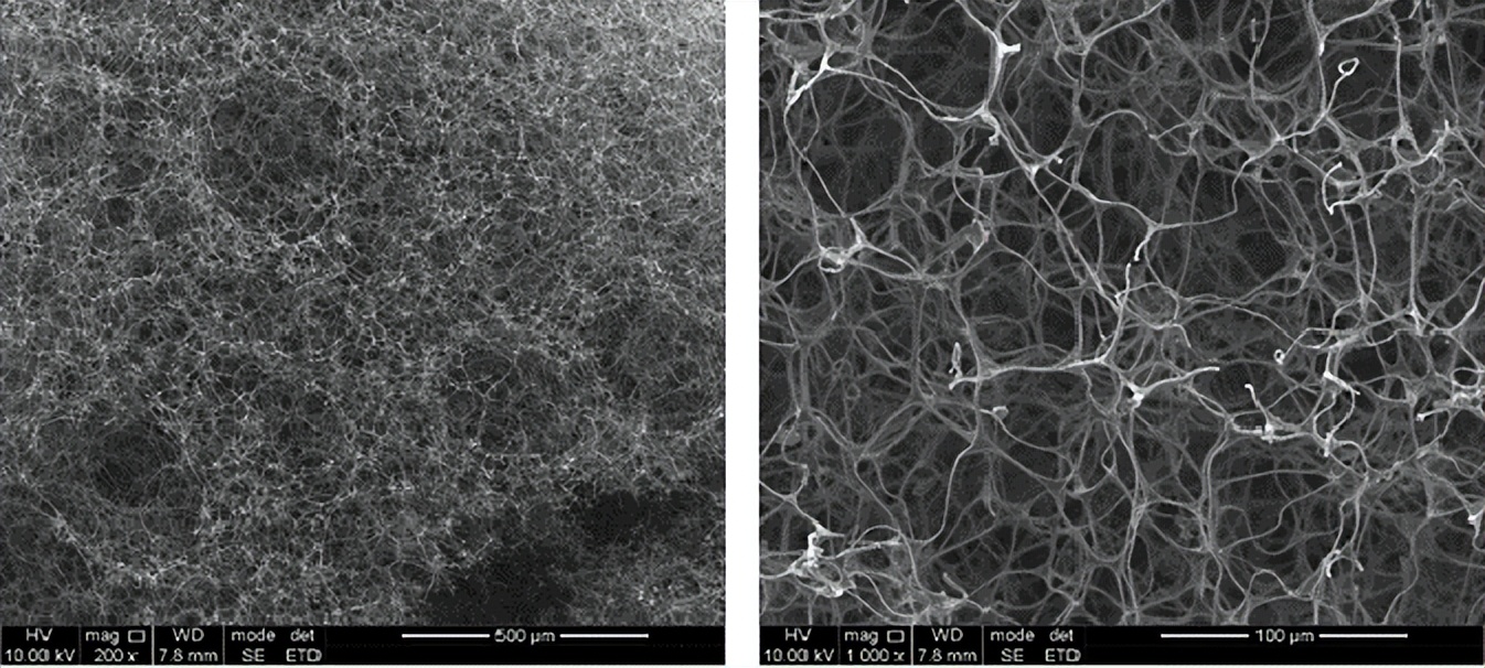 Super full SEM test sample preparation strategy - iNEWS