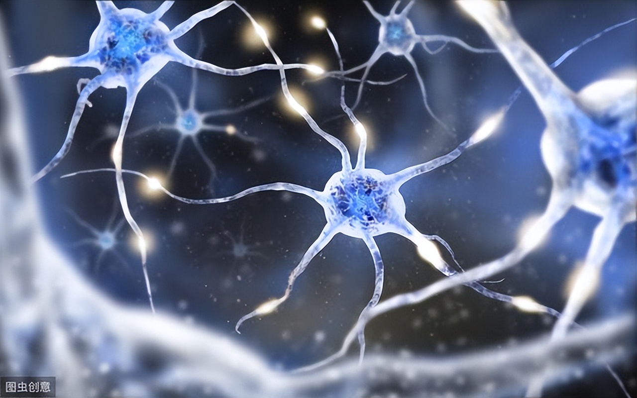 Gut mucus is closely related to health and may affect brain and nervous ...