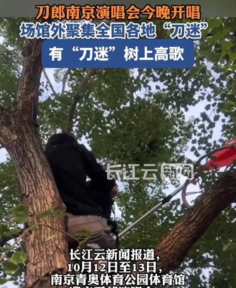 The charm of Dao Lang is all over the Internet, and Dao fans climbed up ...