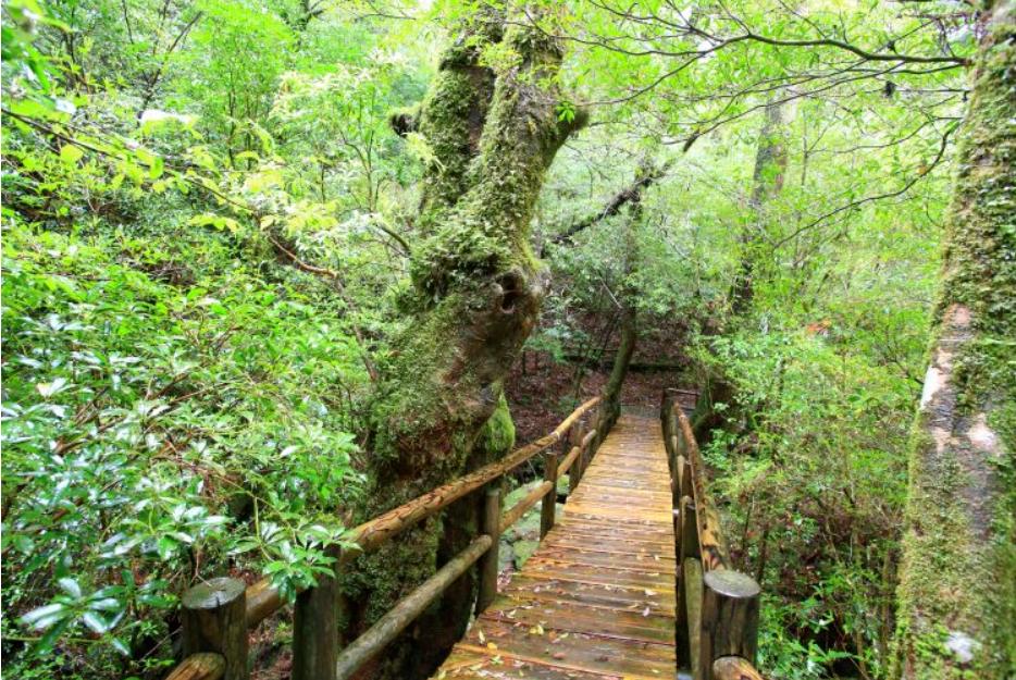 Mountaineering, cycling, spring outing... Returning to the embrace of ...