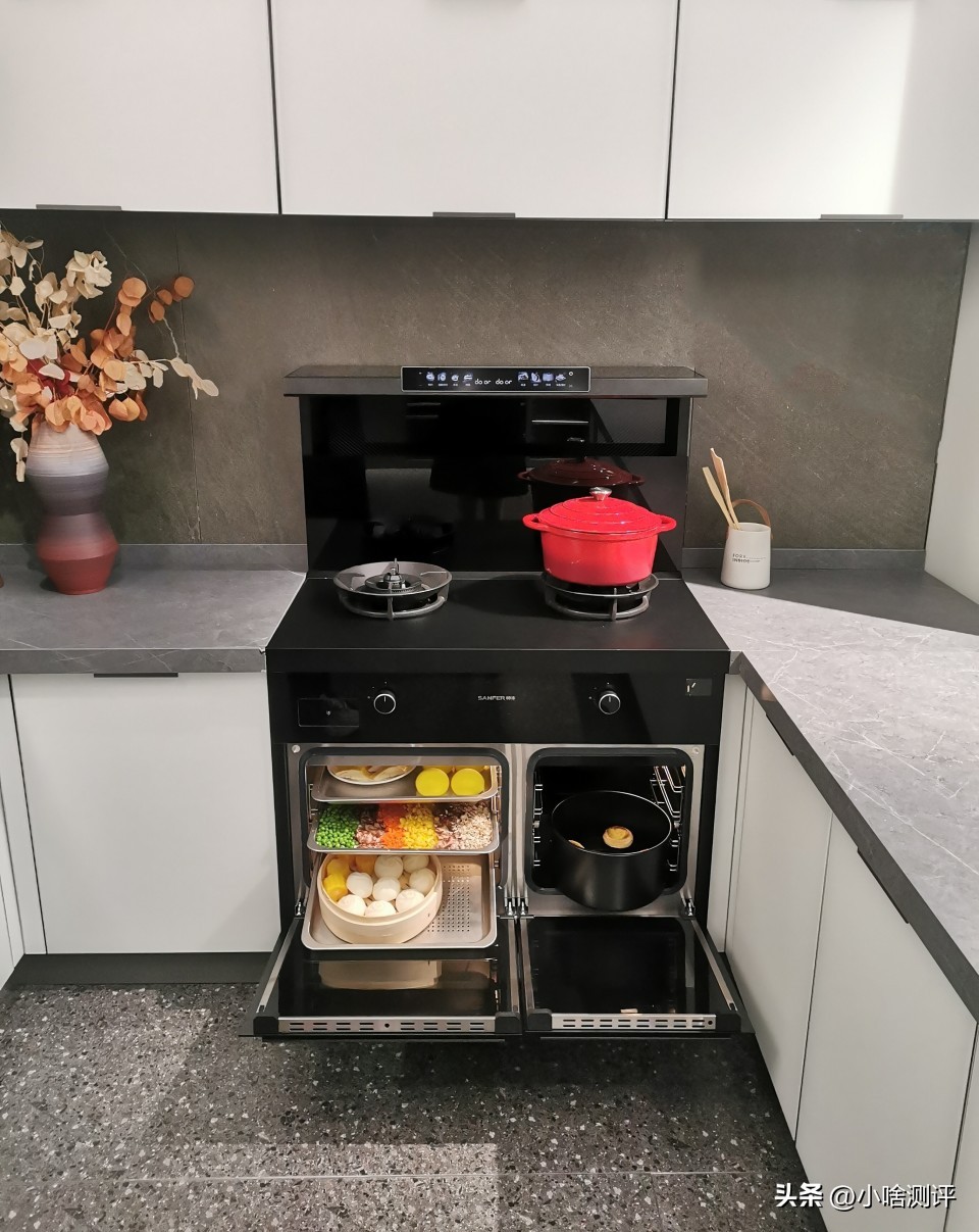 Shuaifeng [Tianji 3] TJ3-8B steam and roast synchronous integrated stove, making every cooking a ...