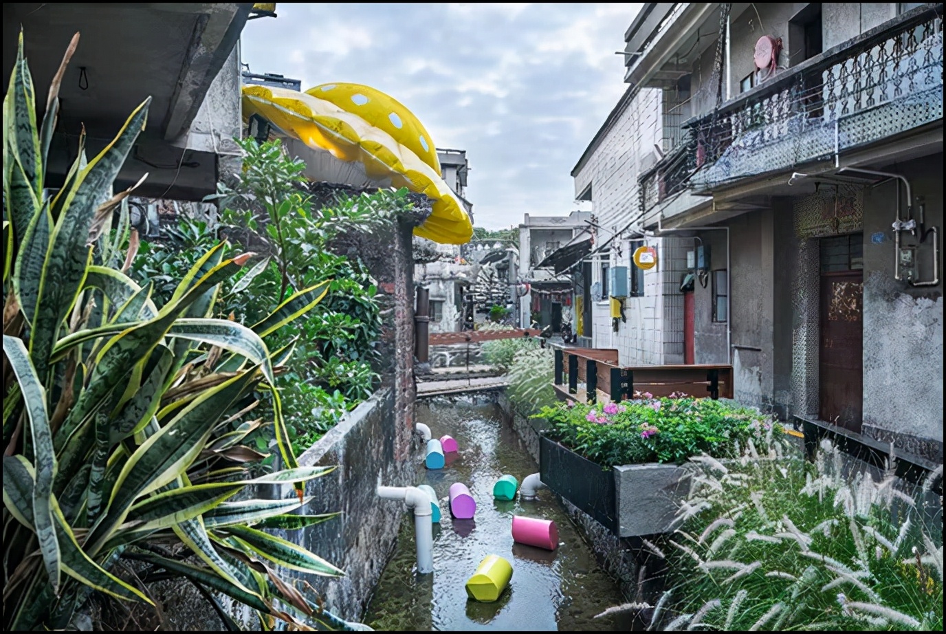 Teachers from Shenzhen University led the "New Shajing Ancient Ruins ...