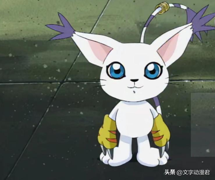 Is "Digimon" Dilu beast powerful? Why do you feel weak - iMedia