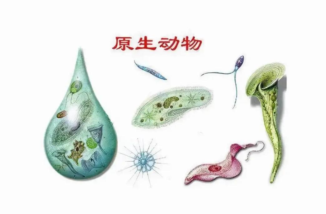 There are various signs that perhaps we have discovered traces of ...