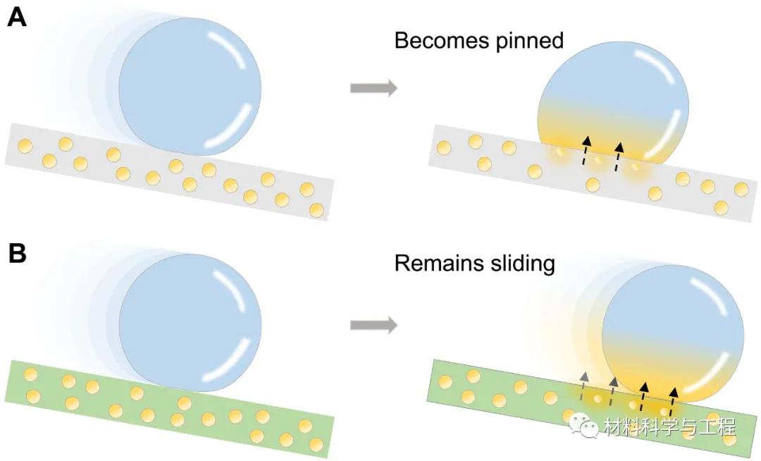 "Science Advances": to achieve on-demand control of the fluidity and ...