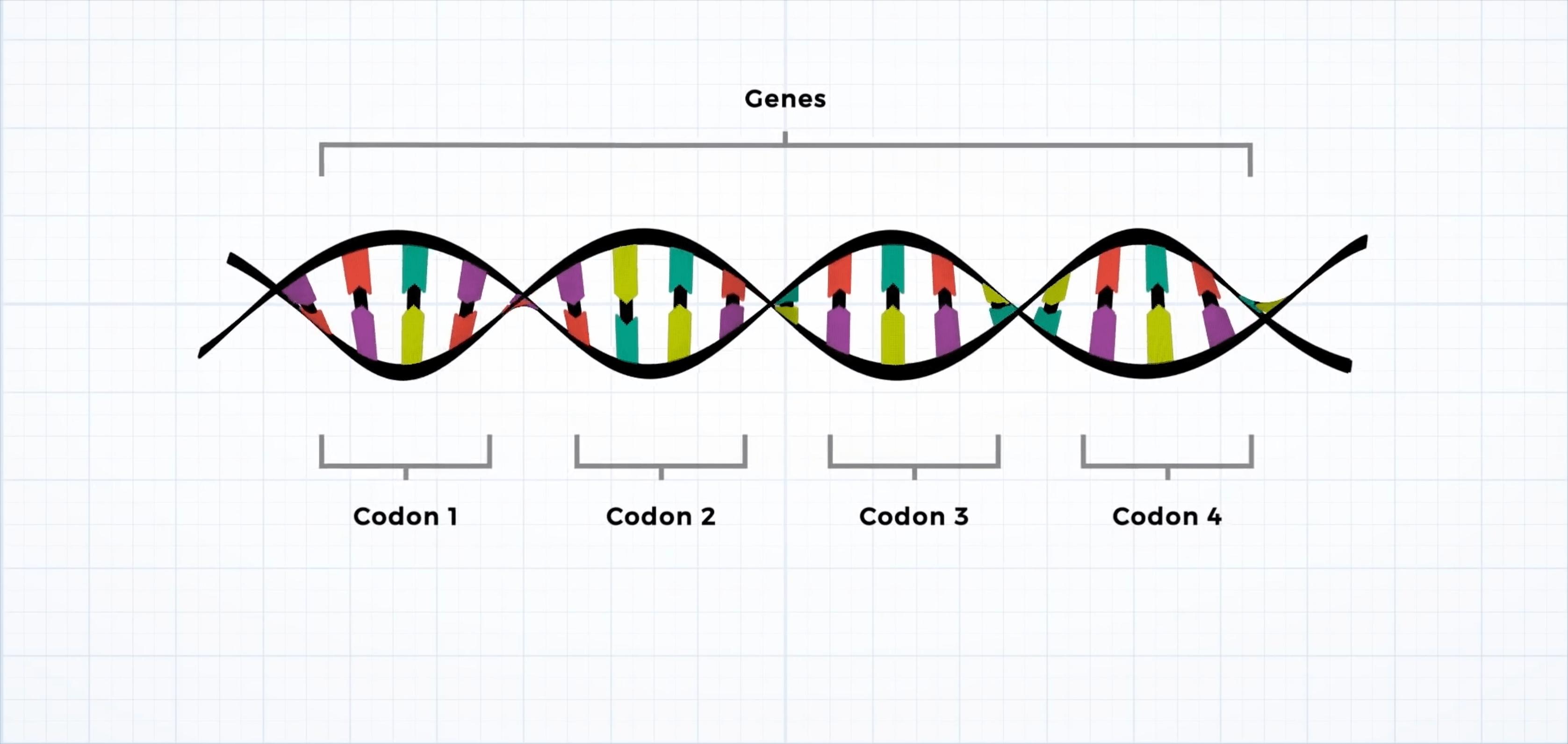 The optimal design of DNase, in genetic engineering, how to realize ...
