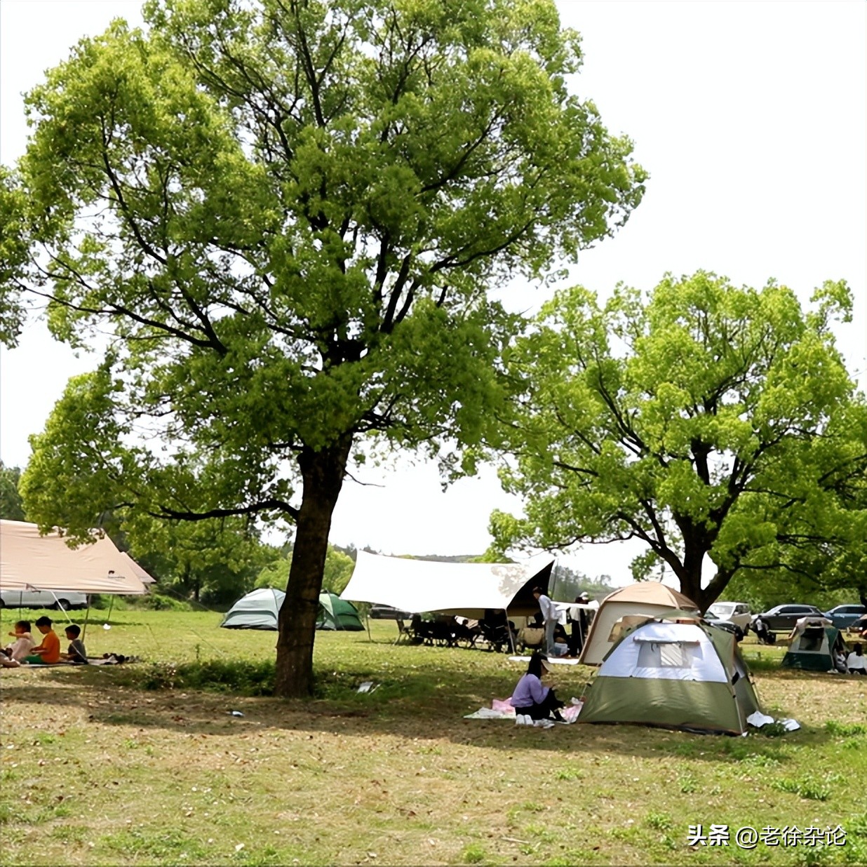 Only one year! The income of this village in Yiwu has increased by 10 ...