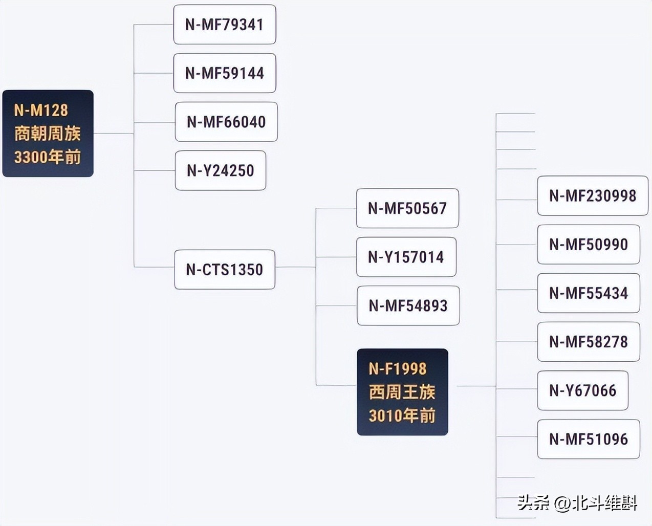 Analysis from the perspective of DNA: What kind of people established ...