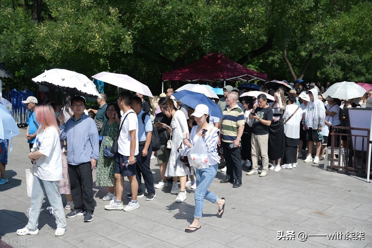 Jinan spring water is picturesque, tourists rush to watch it - iNEWS