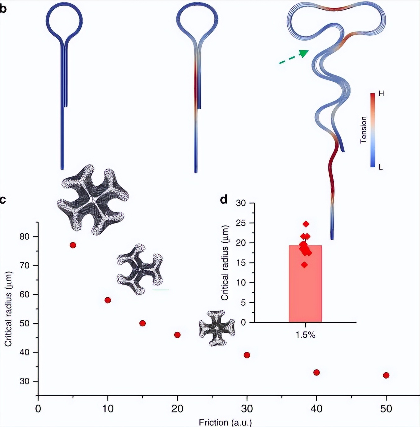 Dynamics of the ordered structure of bacterial biofilms revealed by ...