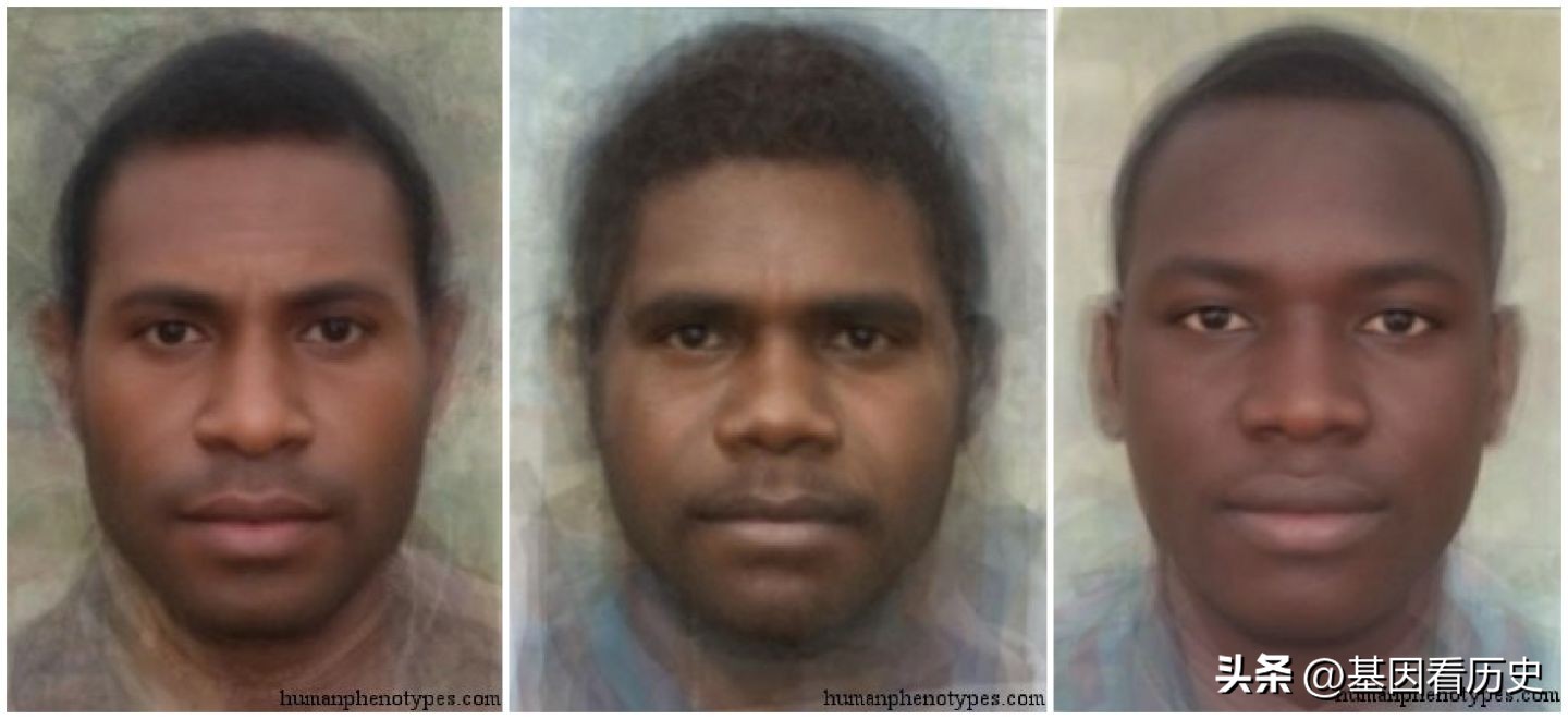 Are the Papuans in Indonesia classified as black people according to ...