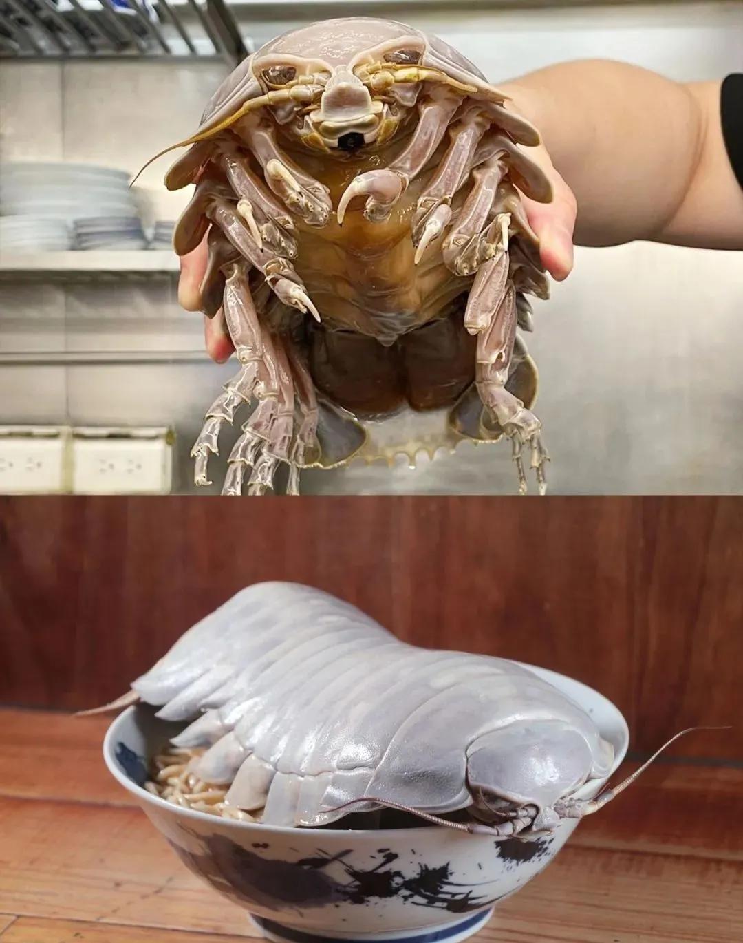 Do you dare to eat alien creatures? - iNEWS