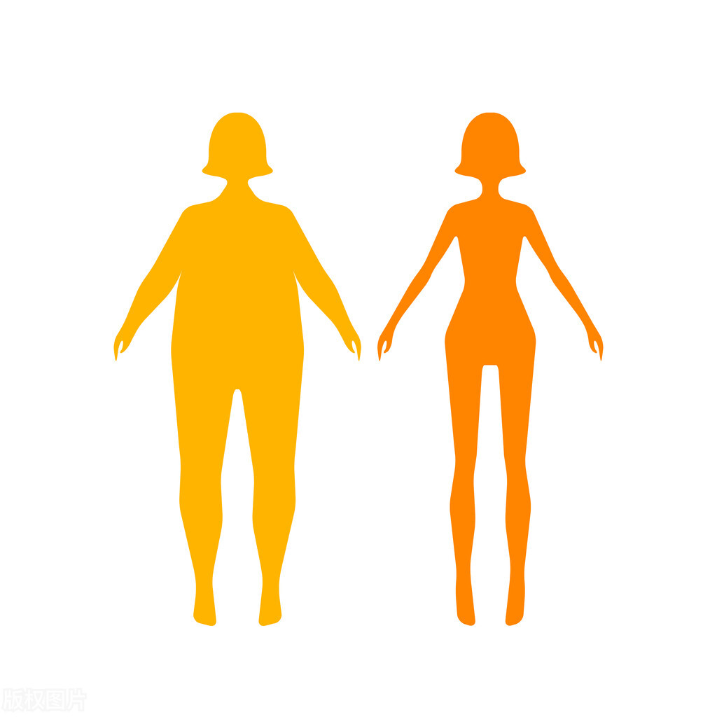 body type character - iNEWS