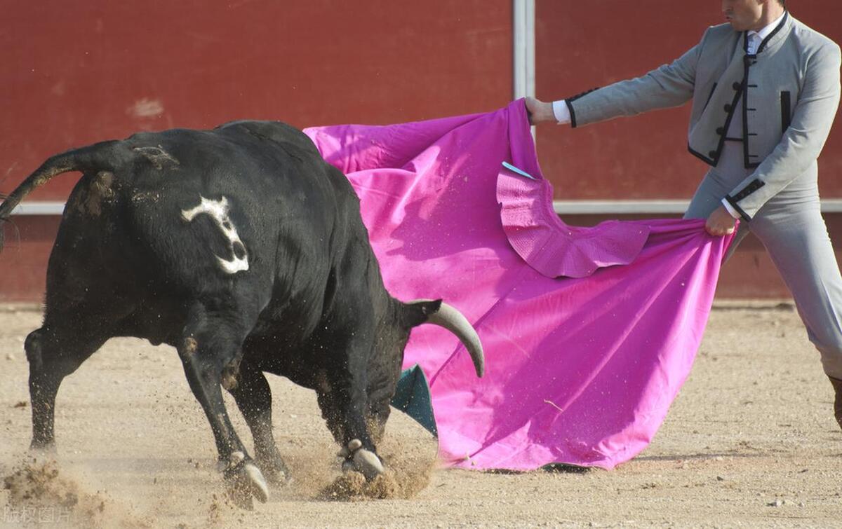 Bullfighting in Spain: Competition between Traditional Sports and ...