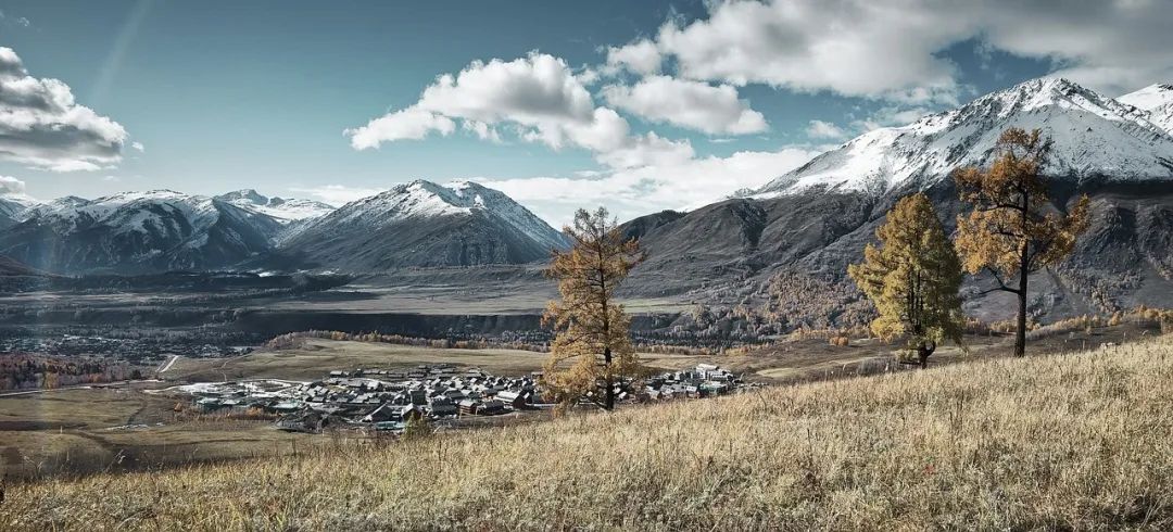 The 23 gentle sentences in Li Juan's "The Corner of Altay" are like the ...