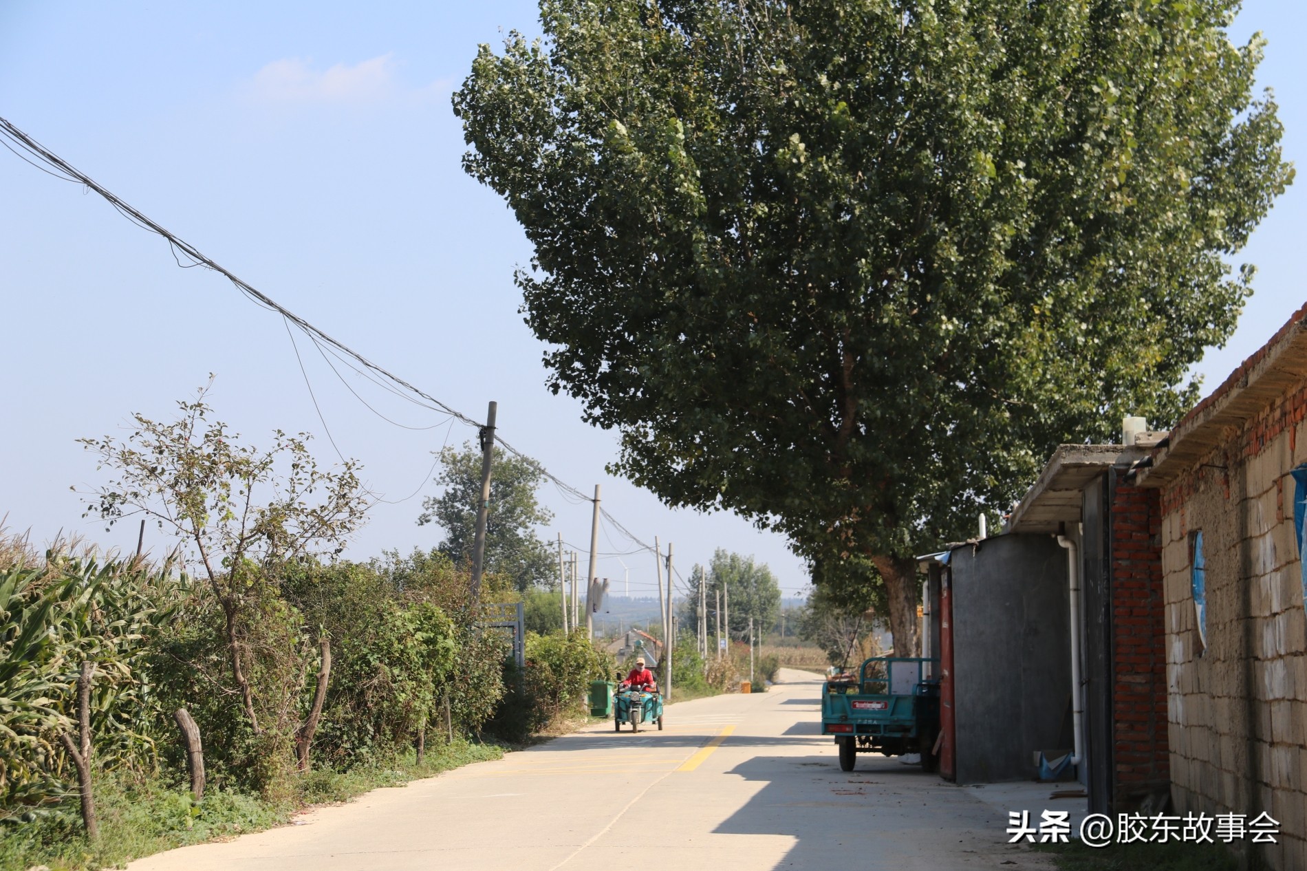 There is an ancient official road between Zhaoyuan and Laiyang, and ...