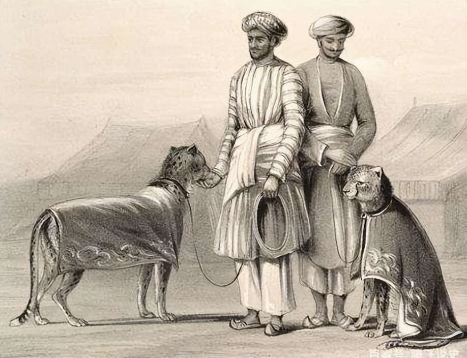 During the Kingdom of Kush, pets played an important role in society as ...