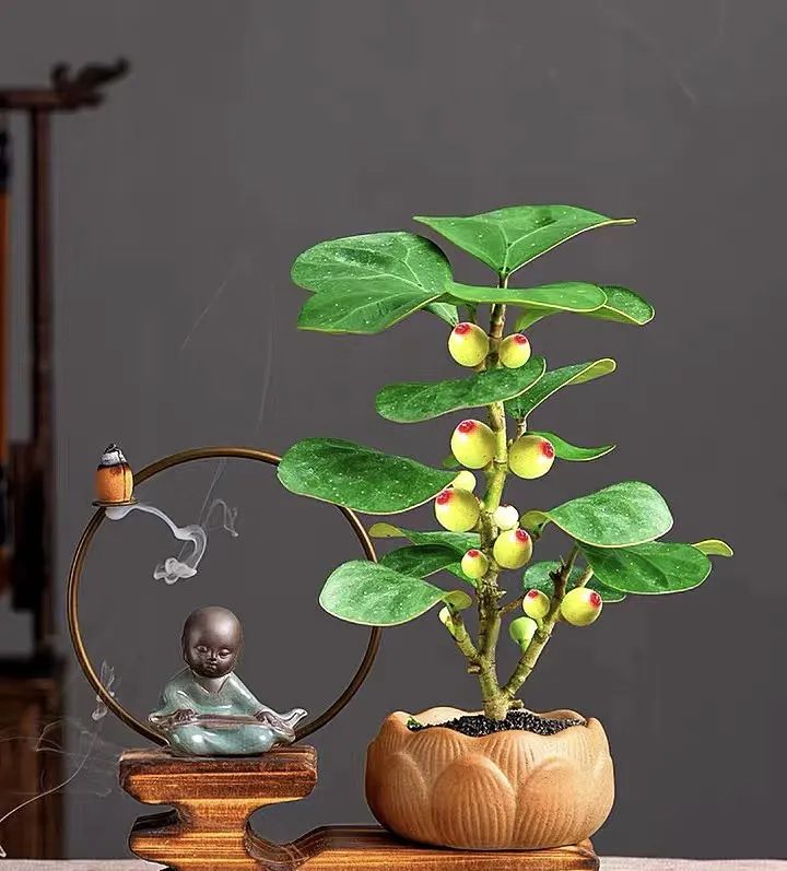 5 kinds of "wealthy flowers", once placed in the living room, can grow ...