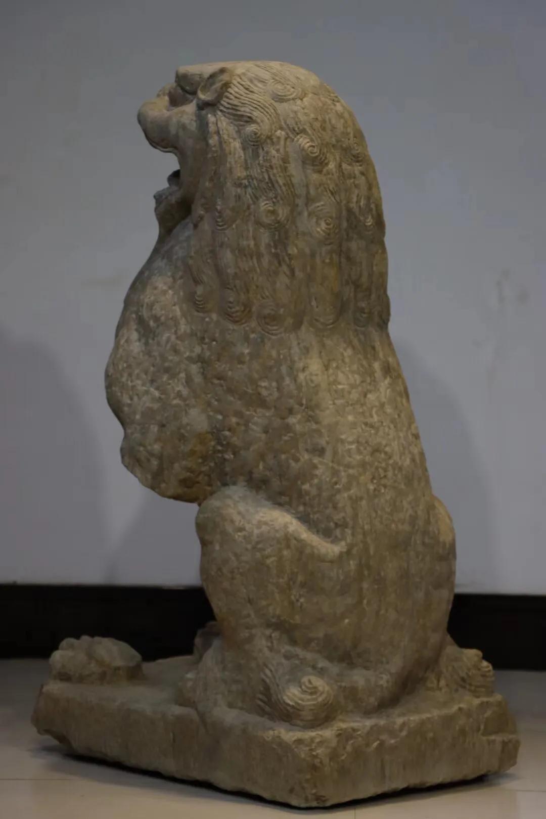 [Tang Lion • Male Lion] This lion is in a crouching posture, majestic ...